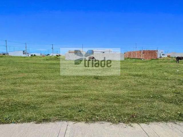 Terreno / Lote para Venda em Campos dos Goytacazes/RJ Parque Tarcisio Miranda