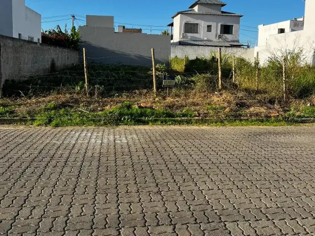 Terreno / Lote para Venda em Campos dos Goytacazes/RJ Parque Tarcisio Miranda