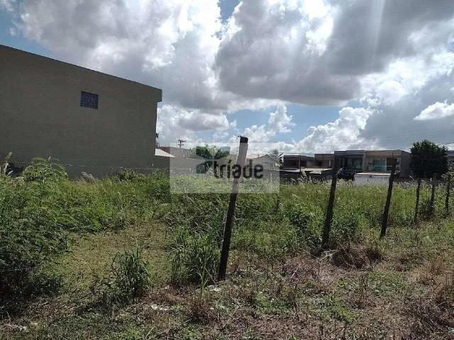 Terreno / Lote para Venda em Campos dos Goytacazes/RJ Parque Tropical