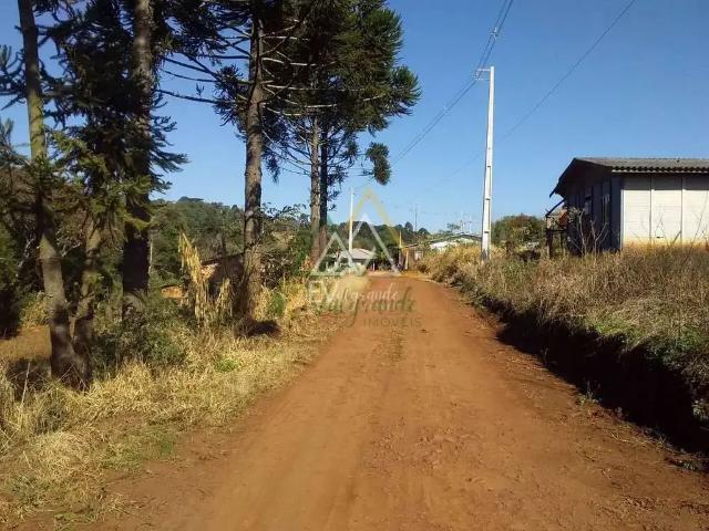 Terreno / Lote para Venda em Cantagalo/PR Centro