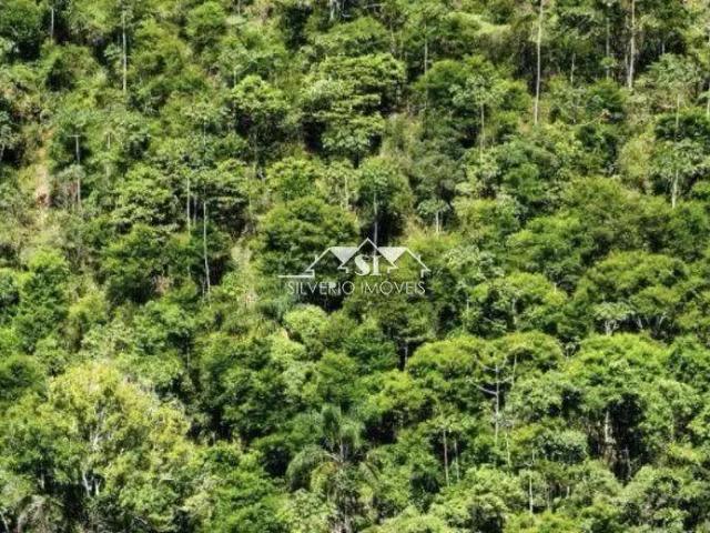 Terreno / Lote para Venda em Cantagalo/RJ Boa Sorte