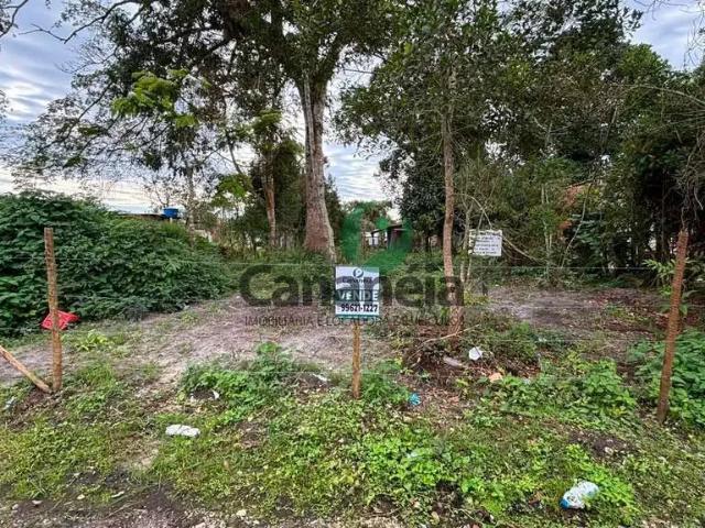 Terreno / Lote para Venda em Cananéia/SP Nova Cananéia