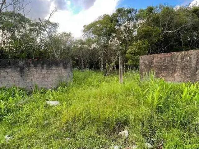 Terreno / Lote para Venda em Cananéia/SP Retiro das Caravelas
