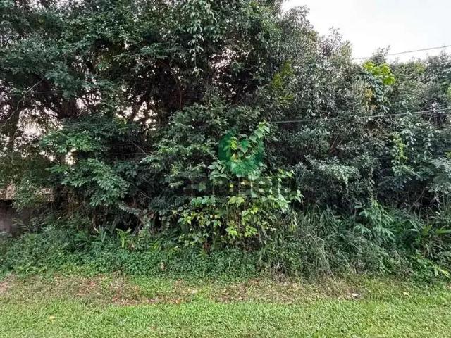 Terreno / Lote para Venda em Cananéia/SP Retiro das Caravelas