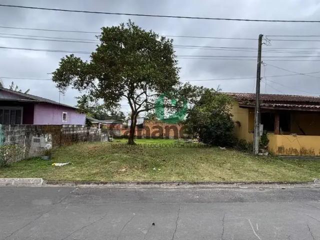 Terreno / Lote para Venda em Cananéia/SP Vila São João Batista