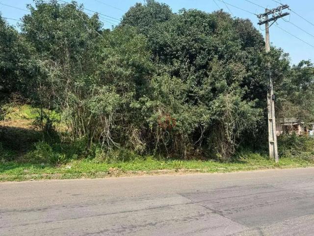 Terreno / Lote para Venda em Canela/RS Vila Boeira
