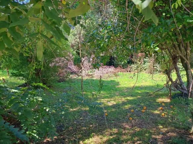 Terreno / Lote para Venda em Canela/RS Vila Boeira