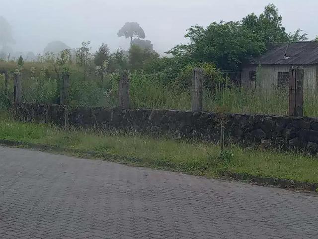 Terreno / Lote para Venda em Canela/RS Vila Dante
