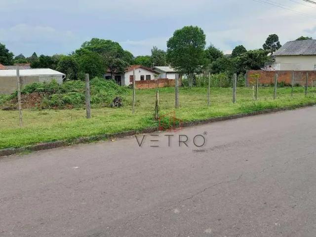 Terreno / Lote para Venda em Canela/RS Vila Dante