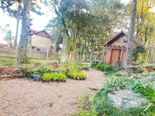 Terreno / Lote para Venda em Canela/RS Vila Suica