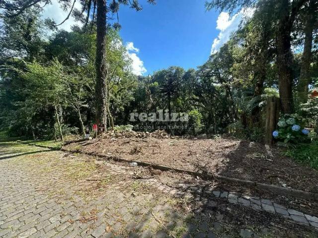 Terreno / Lote para Venda em Canela/RS Vila Suica