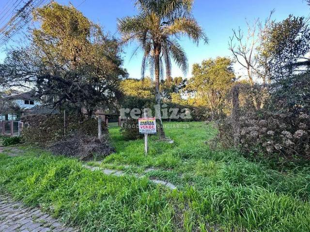 Terreno / Lote para Venda em Canela/RS Vila Suica