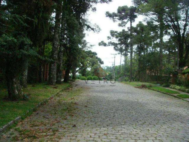 Terreno / Lote para Venda em Canela/RS Vila Suica