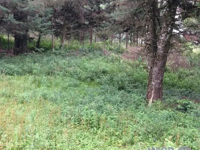 Terreno / Lote para Venda em Canela/RS Alpes Verdes