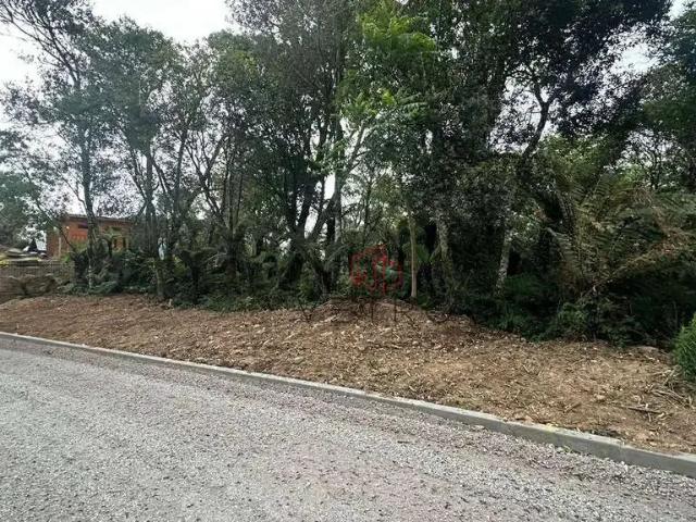 Terreno / Lote para Venda em Canela/RS Alpes Verdes