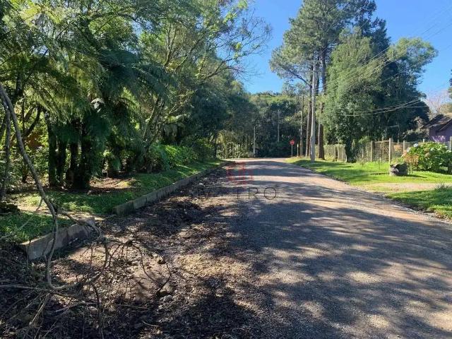 Terreno / Lote para Venda em Canela/RS Alpes Verdes