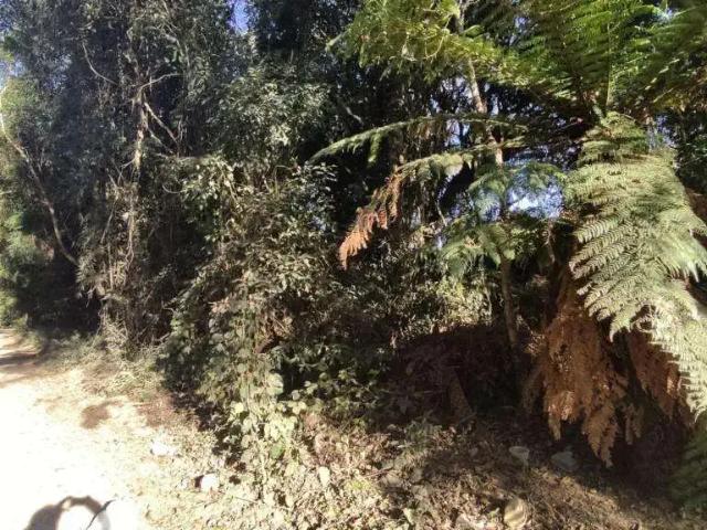 Terreno / Lote para Venda em Canela/RS Alpes Verdes