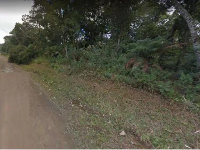 Terreno / Lote para Venda em Canela/RS Alpes Verdes