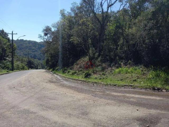 Terreno / Lote para Venda em Canela/RS Alpes Verdes