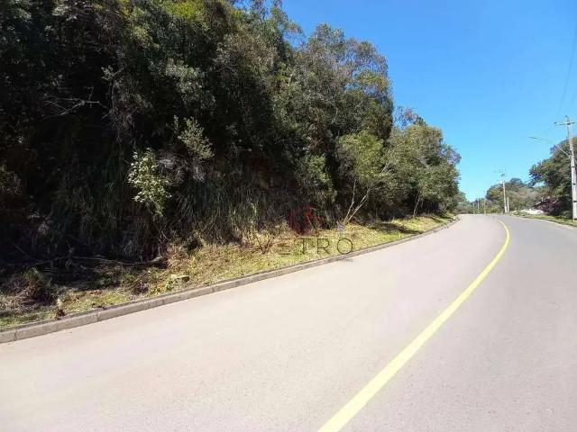 Terreno / Lote para Venda em Canela/RS Alpes Verdes