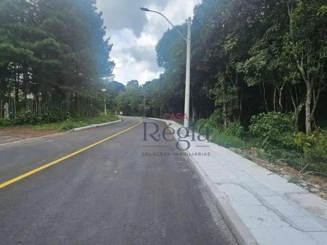 Terreno / Lote para Venda em Canela/RS Alpes Verdes