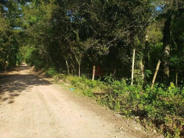 Terreno / Lote para Venda em Canela/RS Alpes Verdes