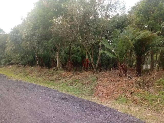 Terreno / Lote para Venda em Canela/RS Alpes Verdes
