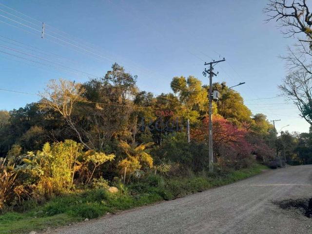 Terreno / Lote para Venda em Canela/RS Alpes Verdes