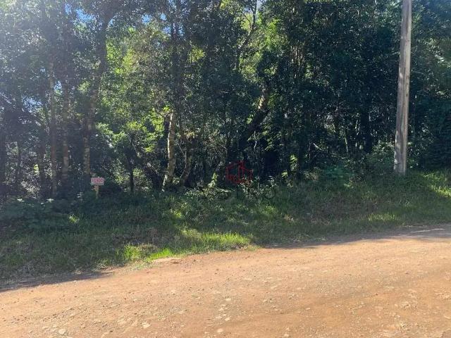 Terreno / Lote para Venda em Canela/RS Alpes Verdes