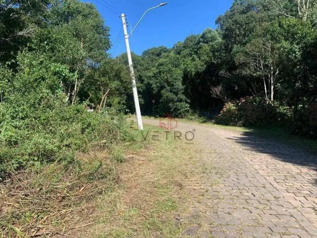 Terreno / Lote para Venda em Canela/RS Alpes Verdes