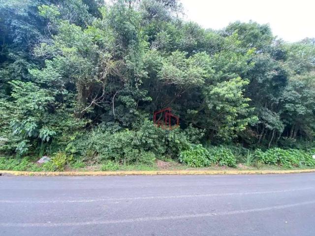 Terreno / Lote para Venda em Canela/RS Alpes Verdes