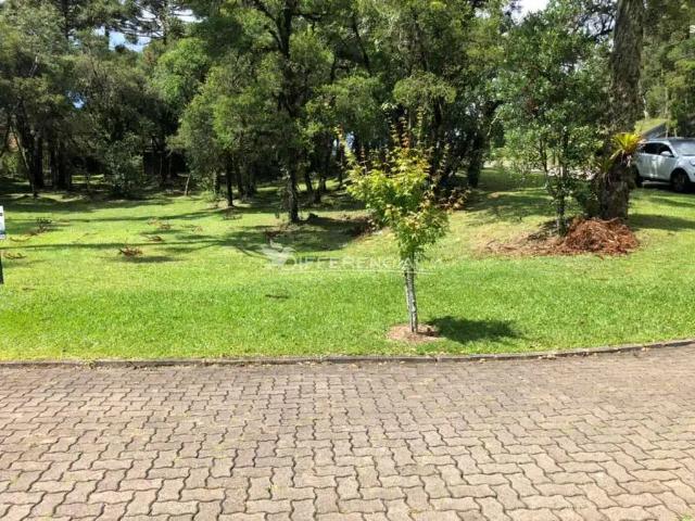 Terreno / Lote para Venda em Canela/RS Altos Pinheiros