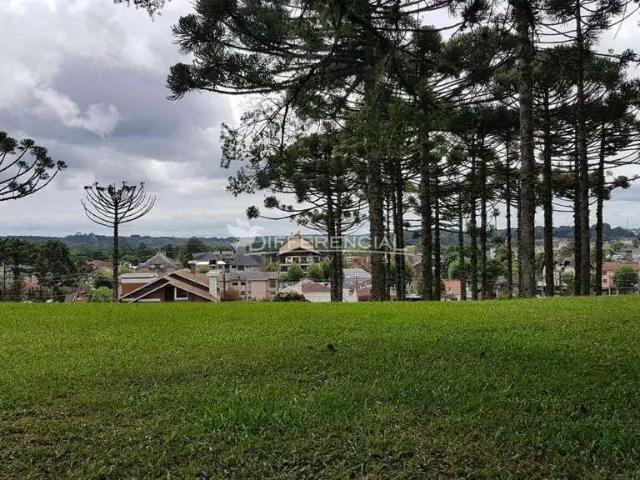 Terreno / Lote para Venda em Canela/RS Altos Pinheiros