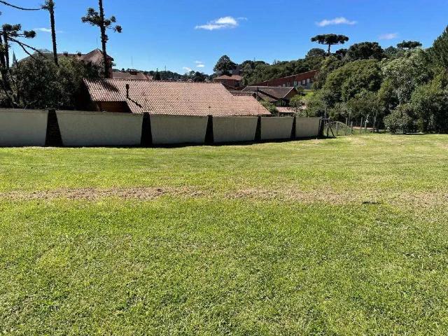 Terreno / Lote para Venda em Canela/RS Altos Pinheiros
