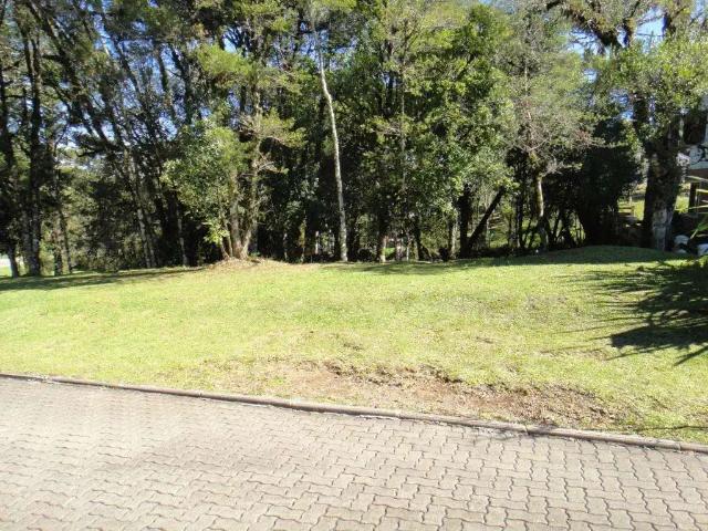Terreno / Lote para Venda em Canela/RS Altos Pinheiros
