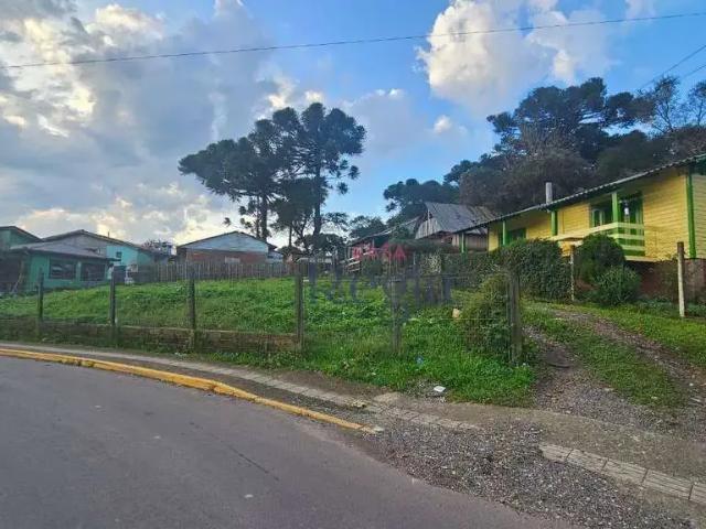 Terreno / Lote para Venda em Canela/RS Bom Jesus