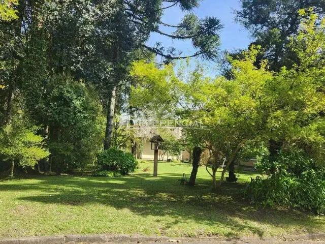 Terreno / Lote para Venda em Canela/RS Bom Jesus