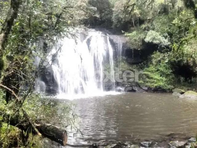 Terreno / Lote para Venda em Canela/RS Bosque Sinoserra