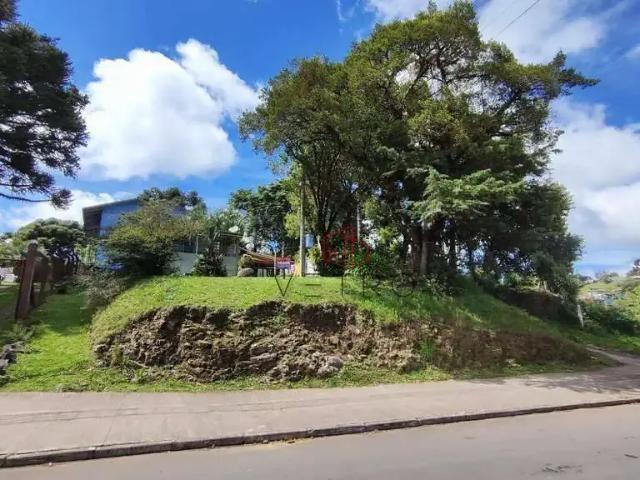 Terreno / Lote para Venda em Canela/RS Canelinha