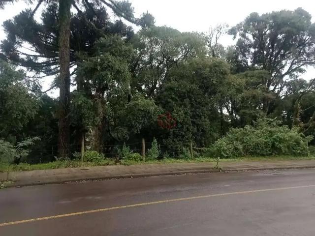 Terreno / Lote para Venda em Canela/RS Canelinha
