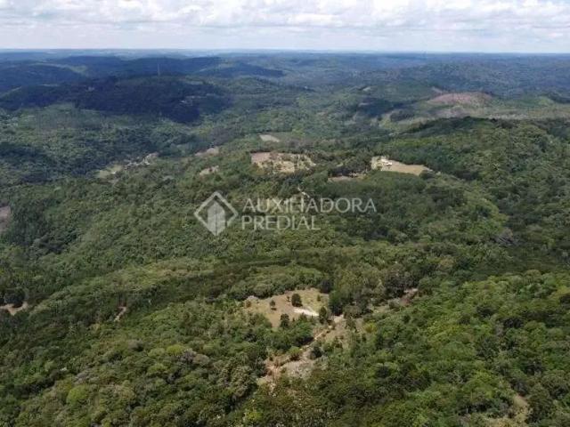 Terreno / Lote para Venda em Canela/RS Caracol