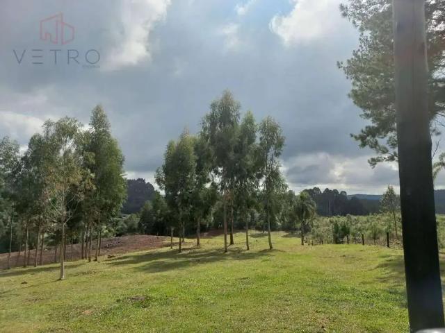 Terreno / Lote para Venda em Canela/RS Caracol