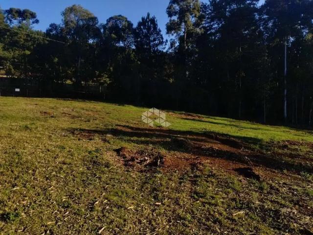Terreno / Lote para Venda em Canela/RS Caracol
