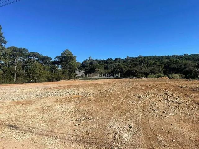 Terreno / Lote para Venda em Canela/RS Caracol
