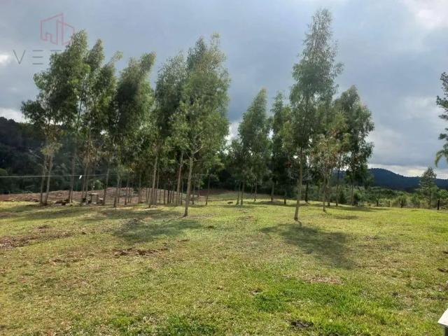 Terreno / Lote para Venda em Canela/RS Caracol