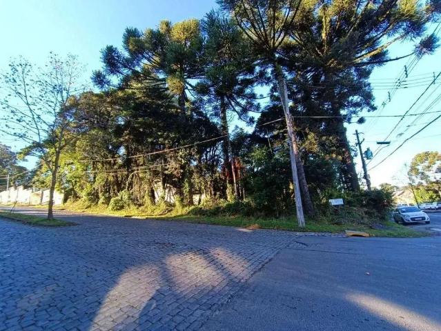 Terreno / Lote para Venda em Canela/RS Centro
