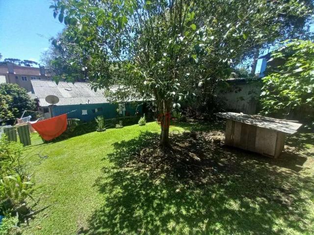 Terreno / Lote para Venda em Canela/RS Centro