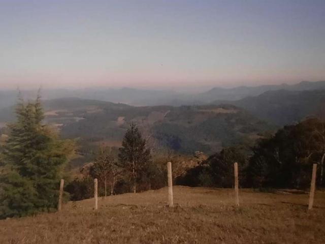 Terreno / Lote para Venda em Canela/RS Centro