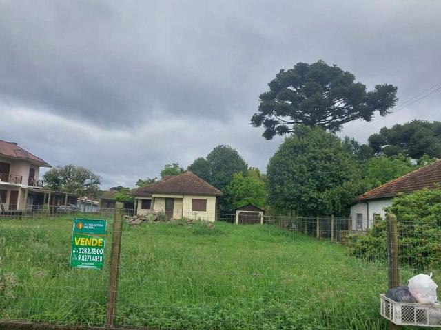 Terreno / Lote para Venda em Canela/RS Centro
