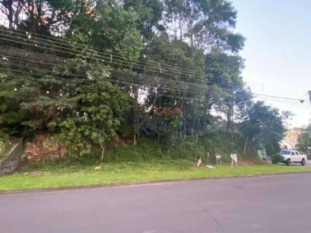 Terreno / Lote para Venda em Canela/RS Centro